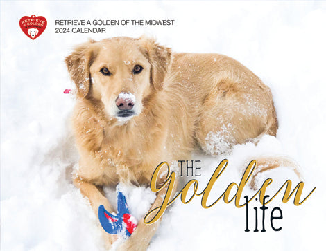 Shop RAGOM.org – Ragom.org